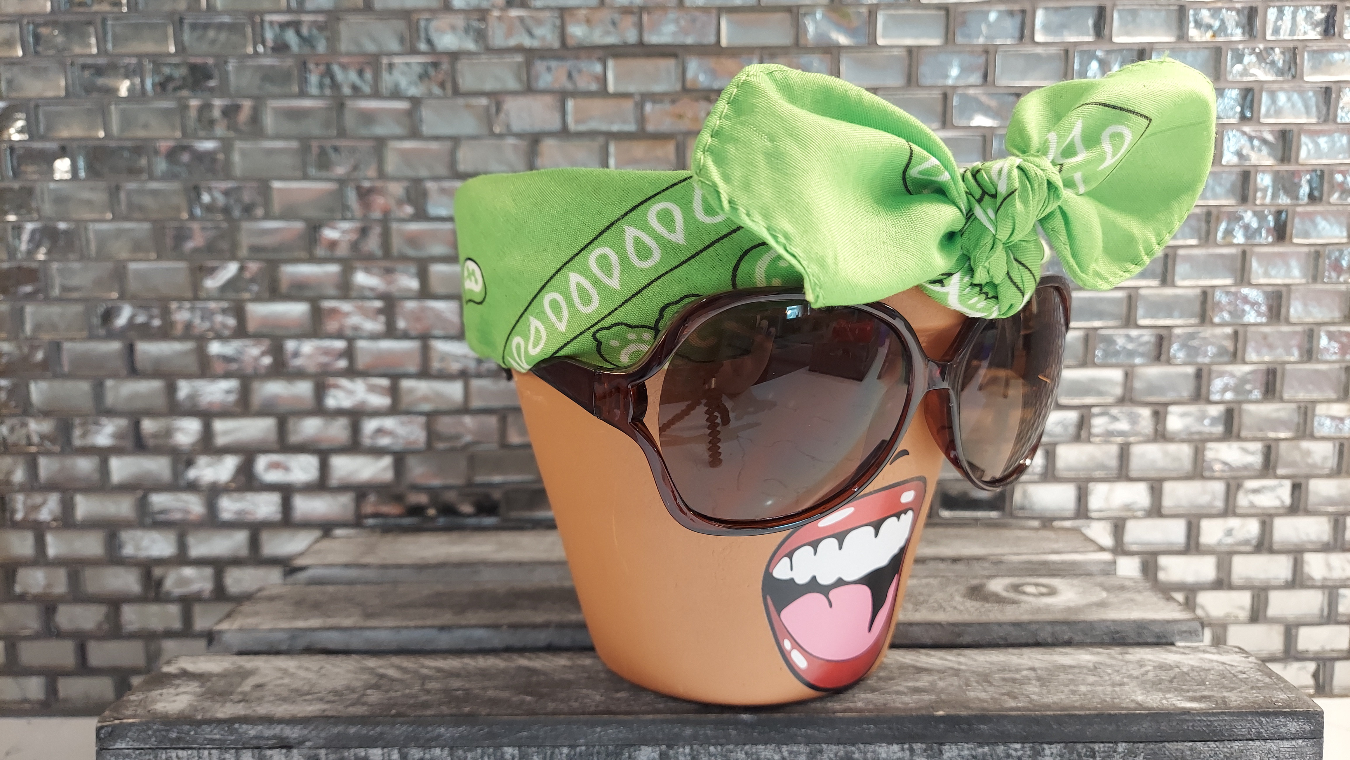 Sassy Soul Sister, Head Face Planter, Planter with Drainage, Planter ...