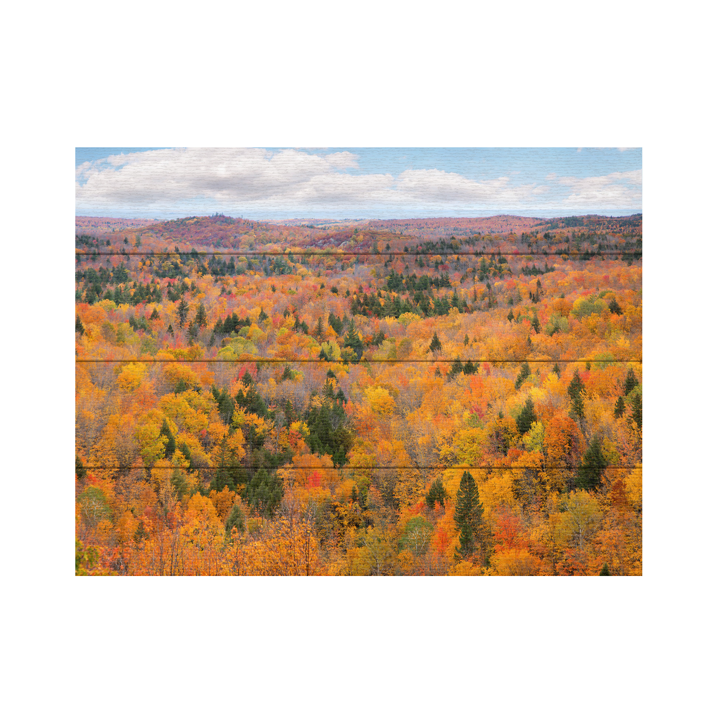 Trademark Fine Art Monte Nagler 'Autumn Palette Marquette Michigan ...
