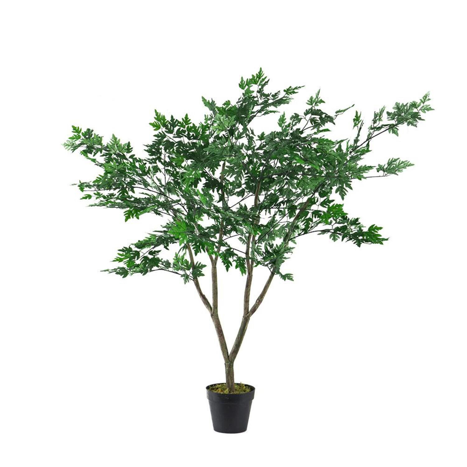 Seasonal Abode Polyscias Fruticosa Tree - 6"Dia. X 43"H - Green ...