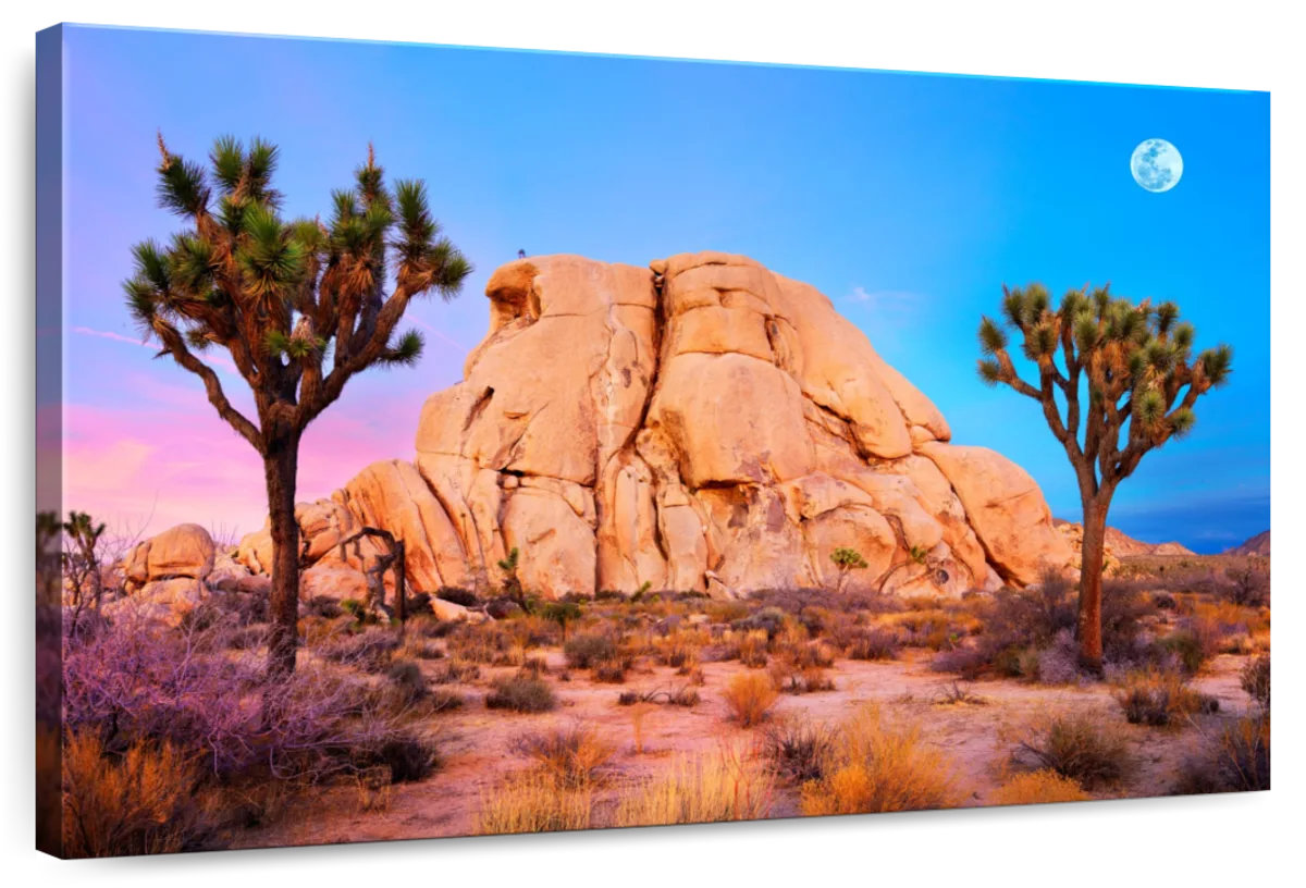 Ebern Designs Kavia Joshua Tree National Park II | Wayfair