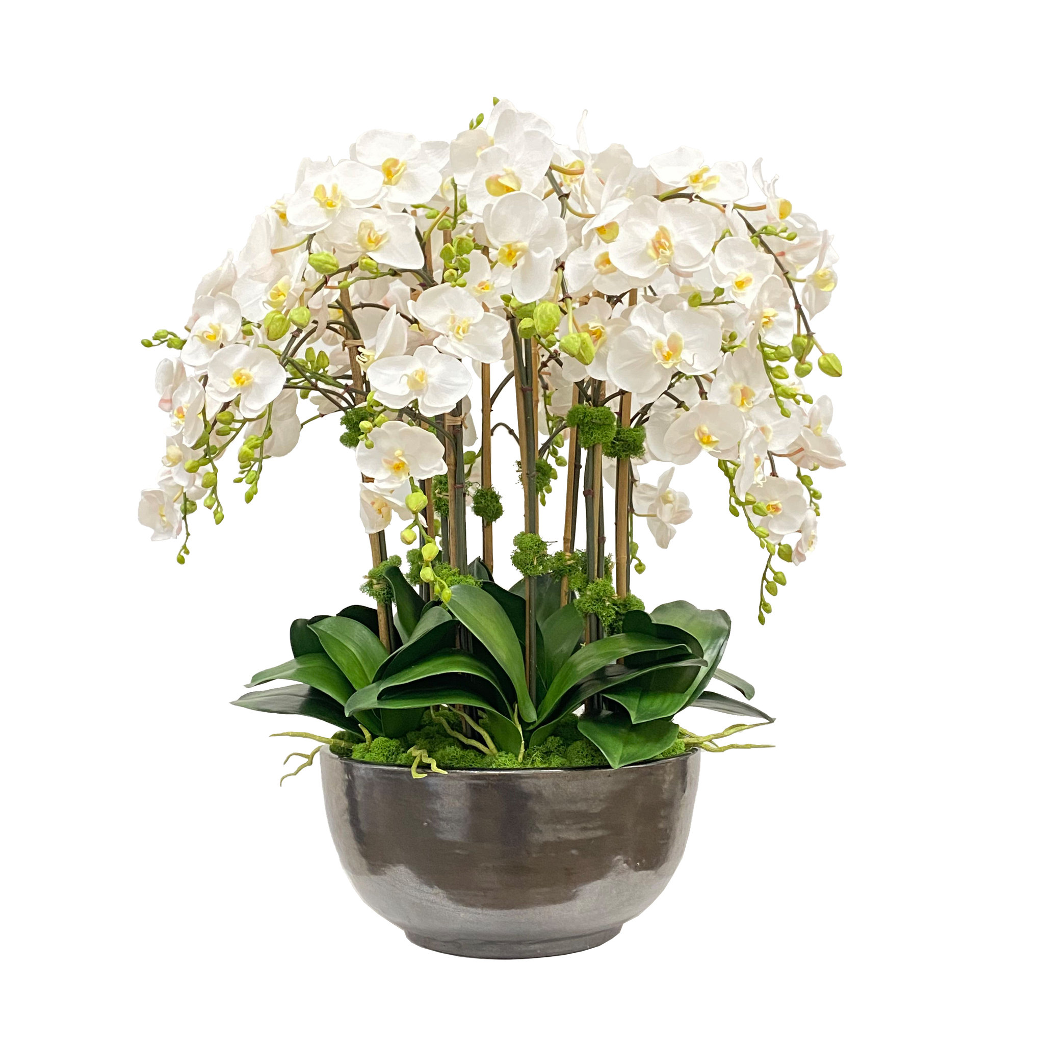 Winward Silks Orchid Stem in Pot | Wayfair