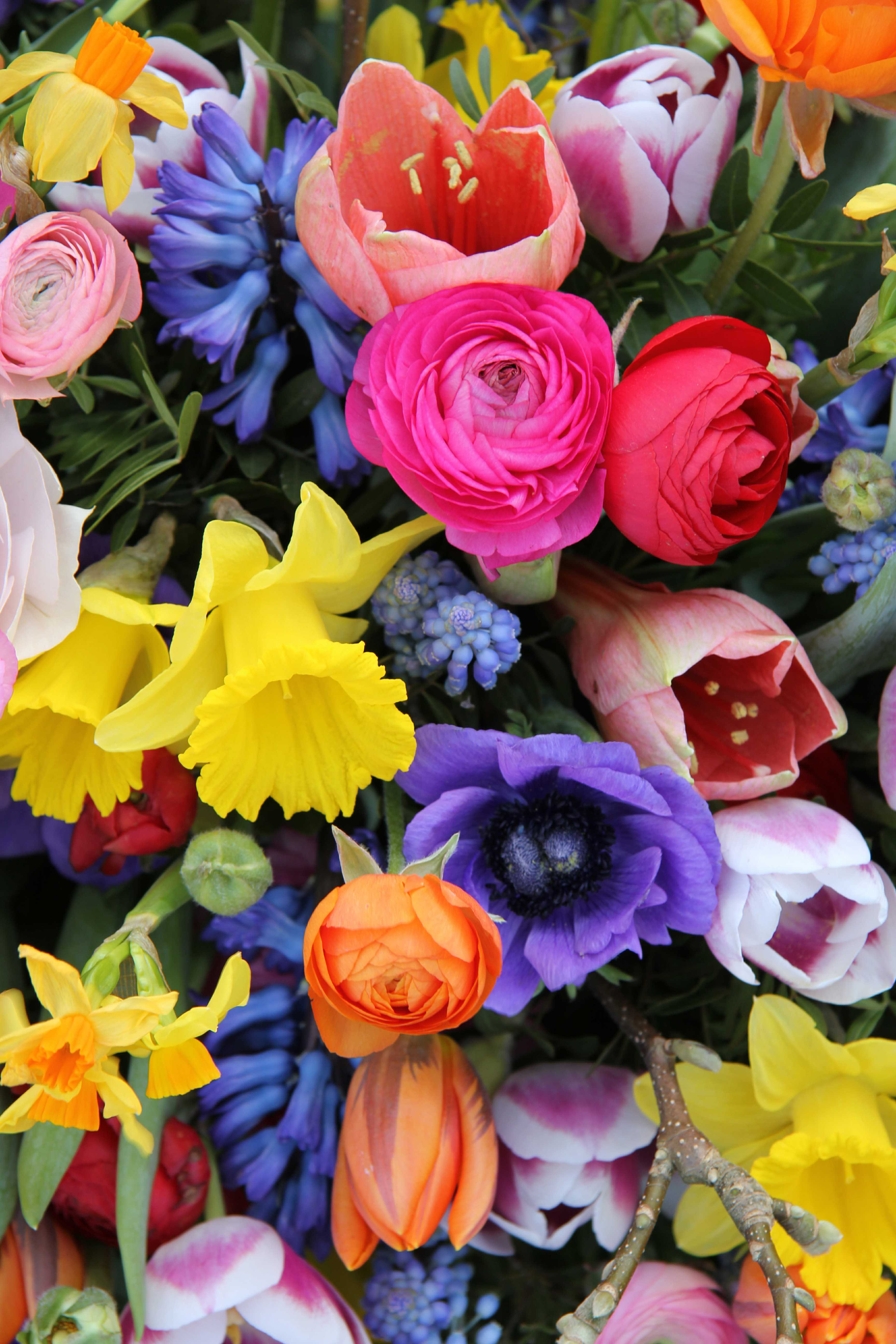 Ebern Designs Mixed Spring Flowers by - Wrapped Canvas Photograph ...