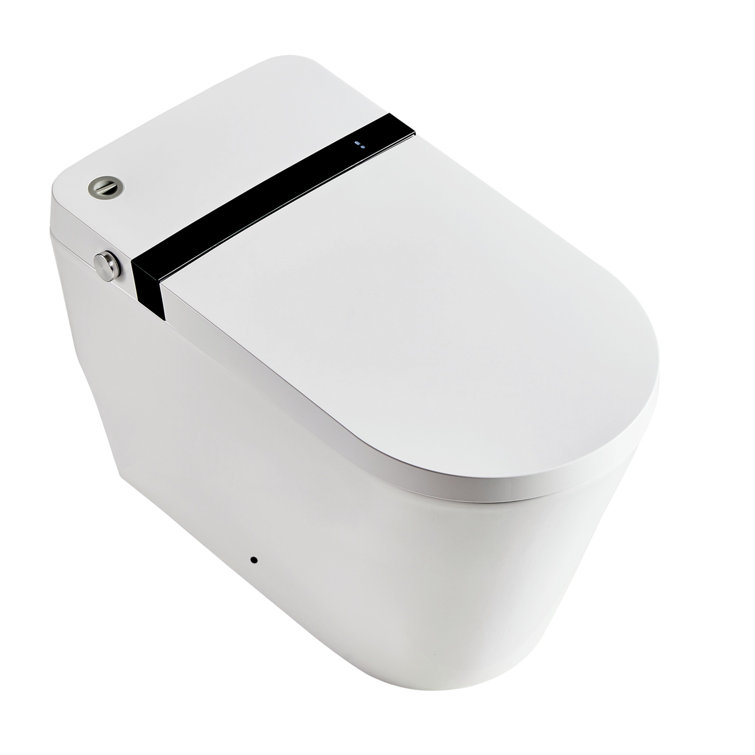 Creationstry GPF Elongated Wall Mounted Back To Wall Toilets (Seat ...