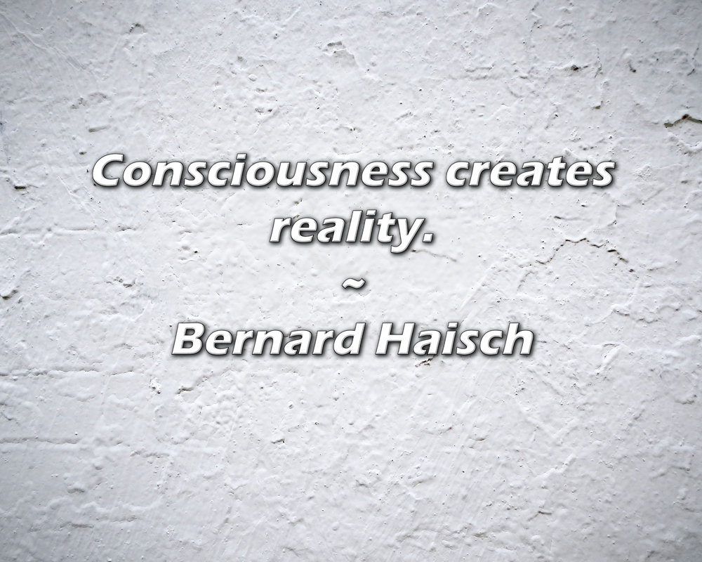 Trinx Bernard Haisch Quote: Consciousness creates reality. - Wayfair Canada