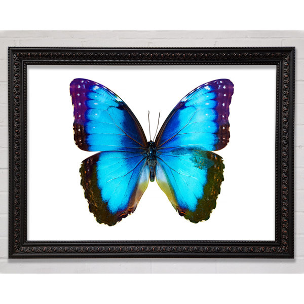 Bright Star Electric Butterfly - Single Picture Frame Print | Wayfair.co.uk