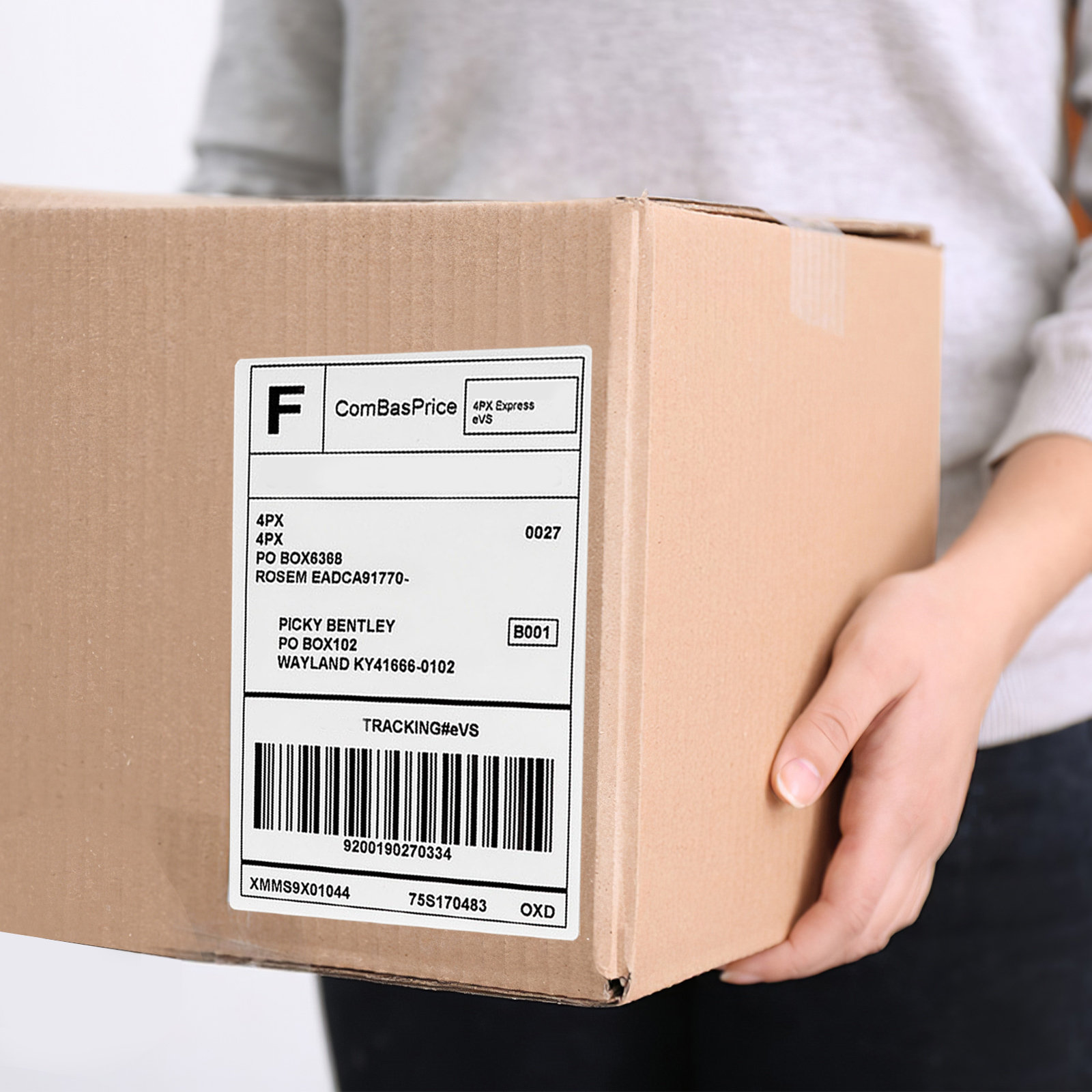 Ebern Designs 500Pcs Direct Thermal Shipping Labels Commercial Adhesive ...