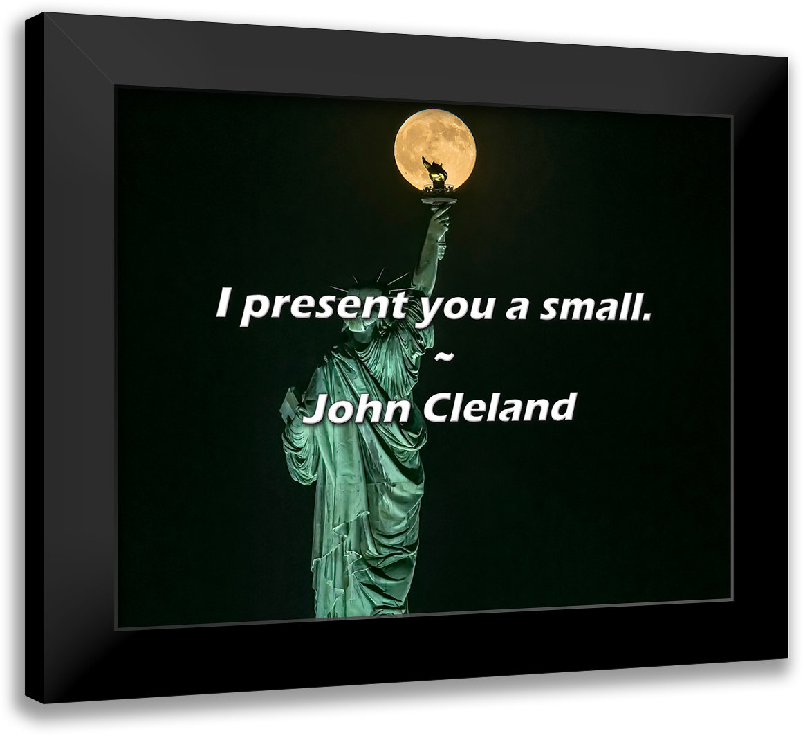 Latitude Run® John Cleland Quote: I present you a small. | Wayfair