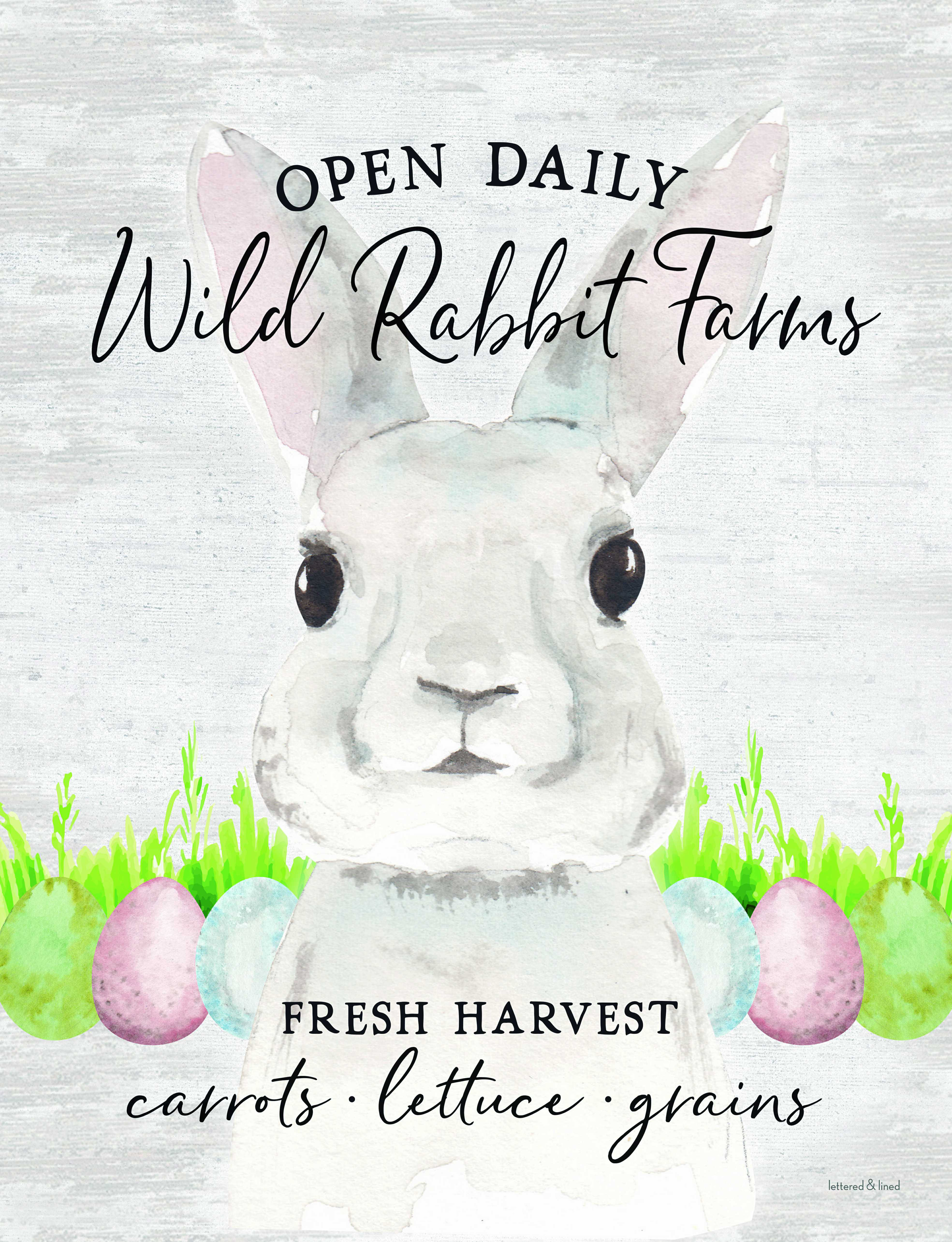 The Holiday Aisle® Wild Rabbit Farms 1 - Wrapped Canvas Print | Wayfair