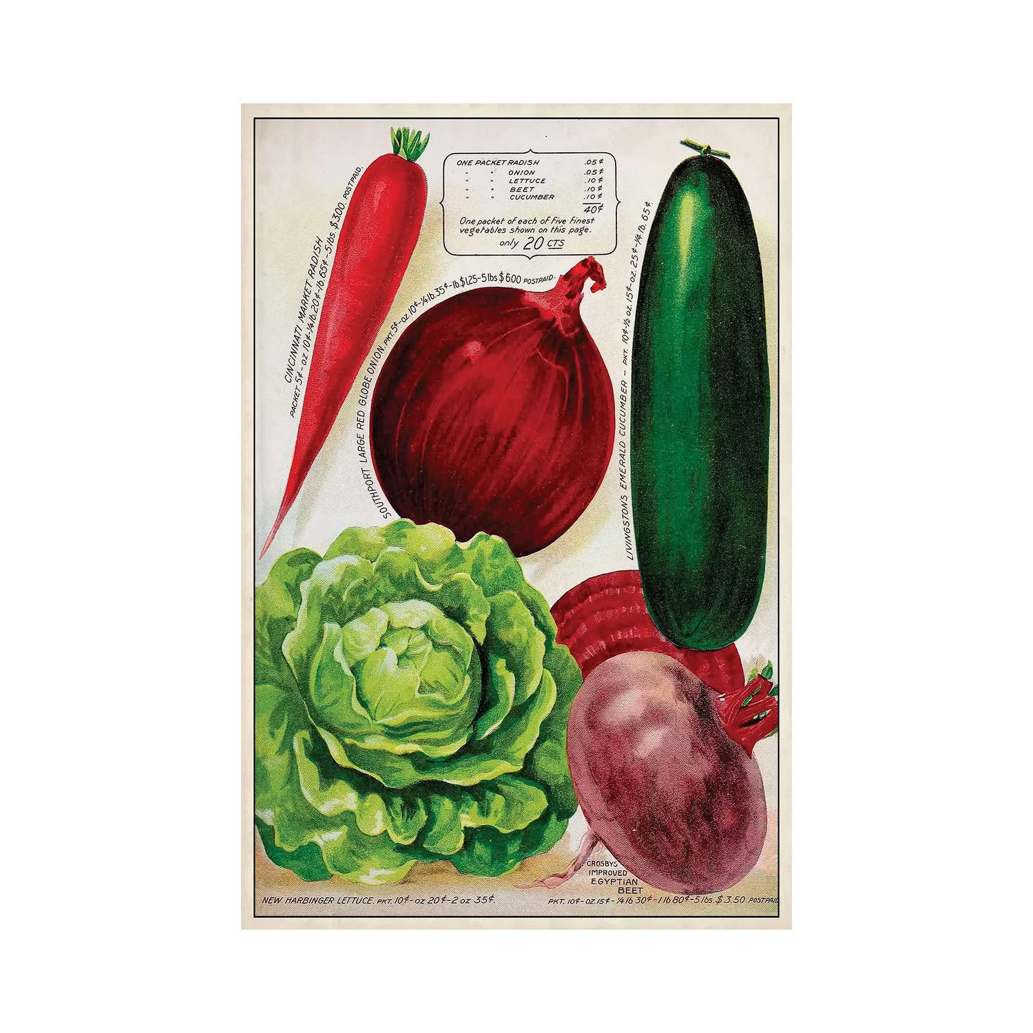 East Urban Home Antique Seed Packets XI - Wrapped Canvas Painting Print ...