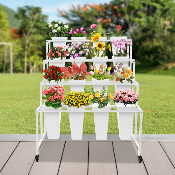 Arlmont & Co. Terisa 4-Tier Rolling Metal Flower Display Plant Rack ...