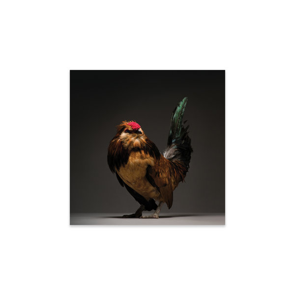 Latitude Run® Barbu De Watermael Print On Acrylic Glass - Wayfair Canada