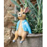 Jardinopia Beatrix Potter Peter Rabbit Sitting on Pot Pot Buddy Pot ...