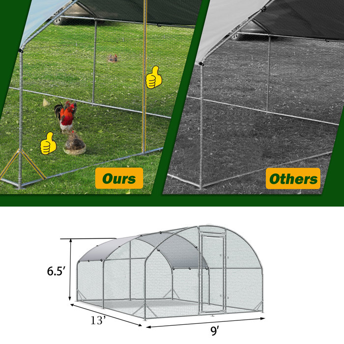 Archie & Oscar™ Chudleigh Walk In Chicken Run & Reviews | Wayfair