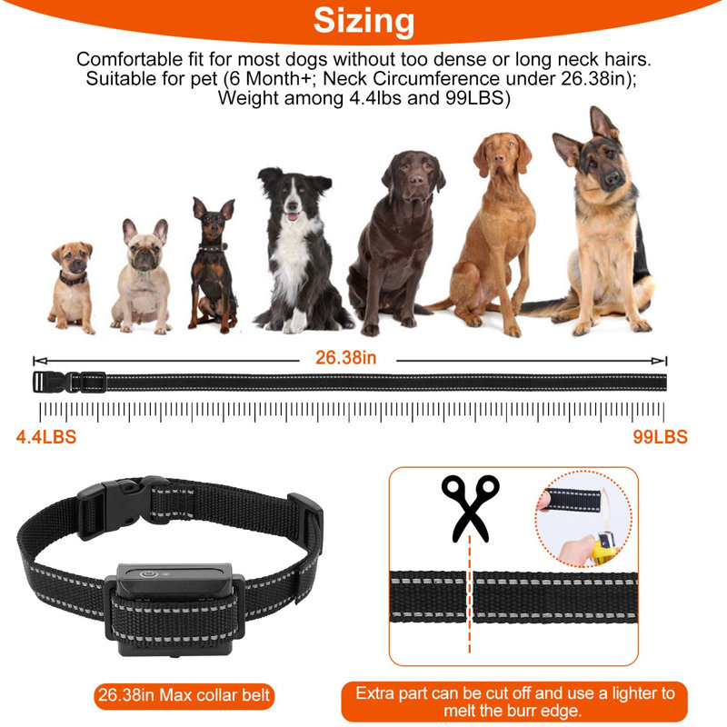 Edge Collections Static Electric Fence Collar | Wayfair