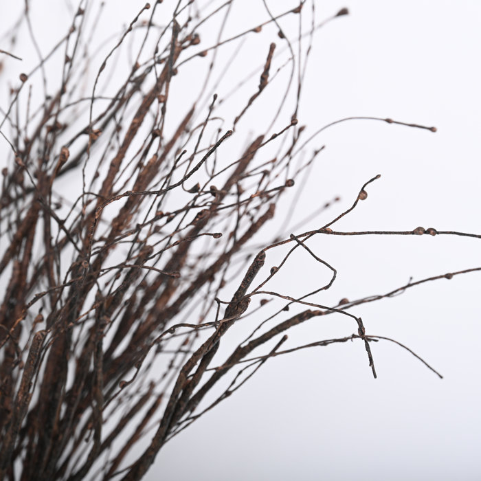 Primrue 30" Birch Twigs Decorative Branches | Wayfair