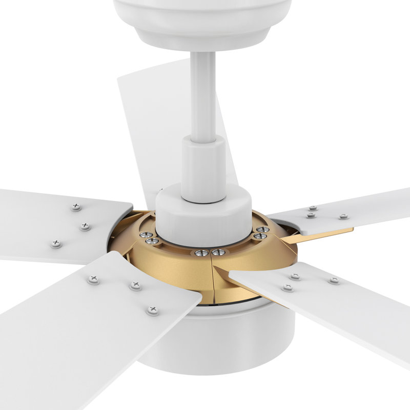Mercer41 Demitris 5 Blades Smart LED Standard Ceiling Fan Remote ...