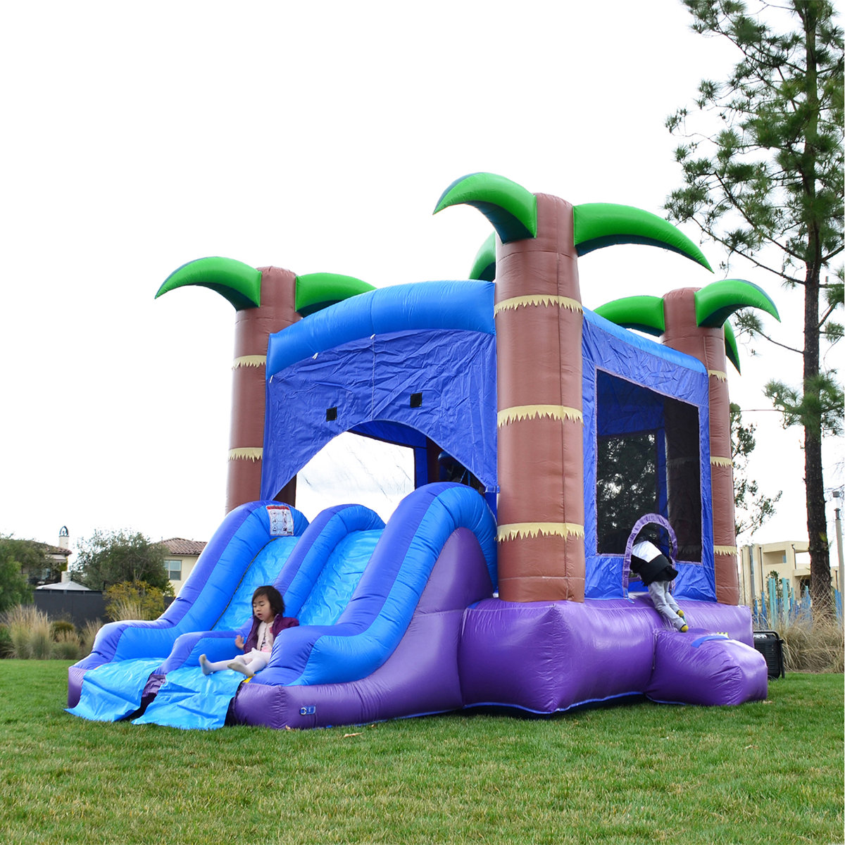 HeroKiddo Enchanted Forest Commercial Grade Bounce House with Slide ...