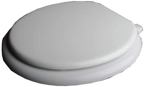 Avalon Toilet Seat and Lid - Wayfair Canada