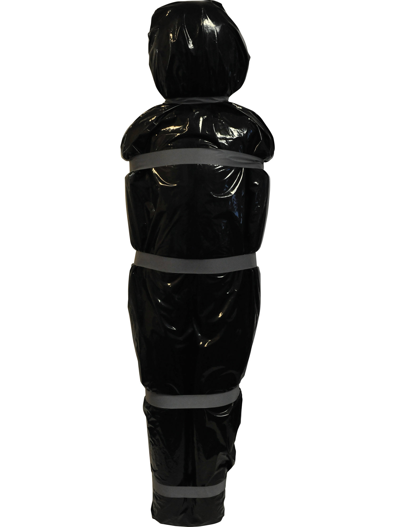The Holiday Aisle® Bagged Up Body | Wayfair