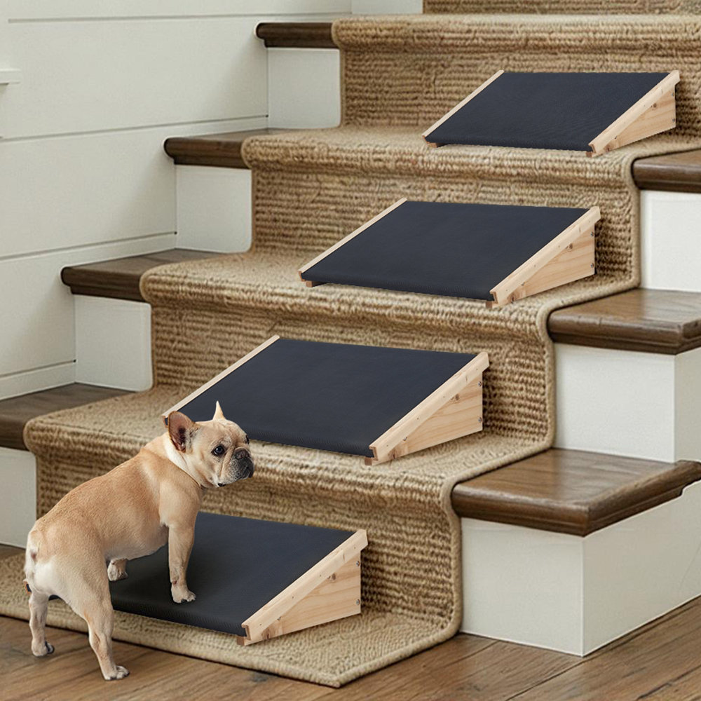 Wayfair Canada - Online Home Store for Furniture, Decor, Outdoors & More
