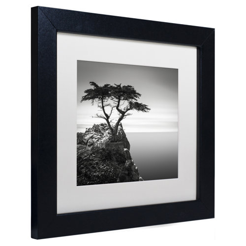 Framed Wall Art You'll Love