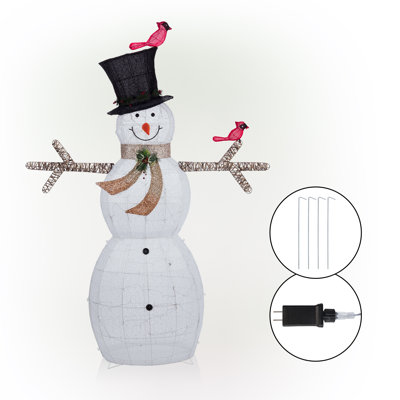 The Holiday Aisle® Snowman Lighted Display & Reviews | Wayfair