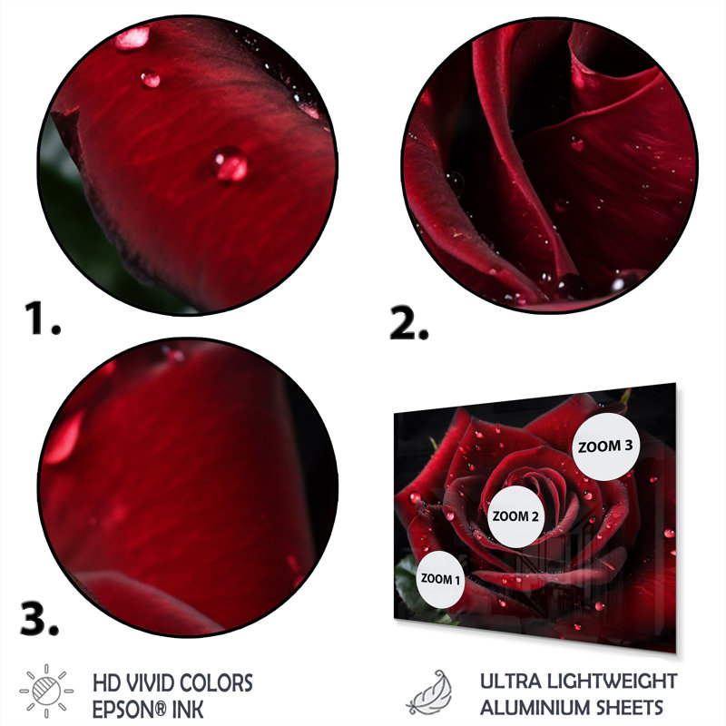 Design Art Red Rose with Raindrops V - Roses Metal Wall Art Set | Wayfair