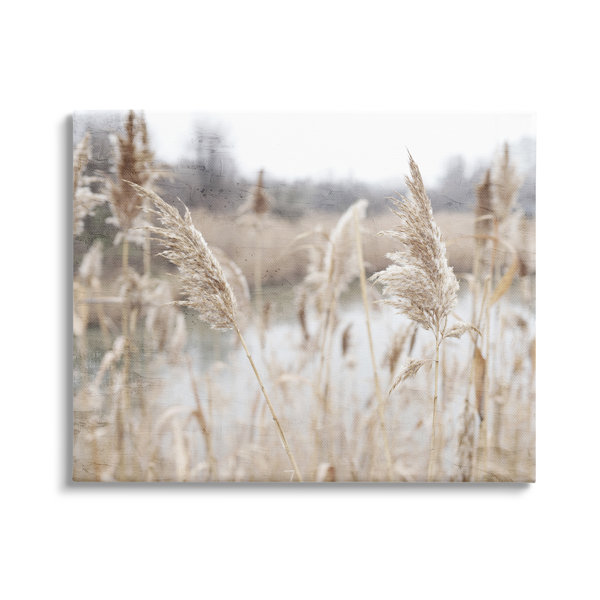 Stupell Industries «Urban Pampas Grass Reeds Lakeside Pond Marsh» par ...