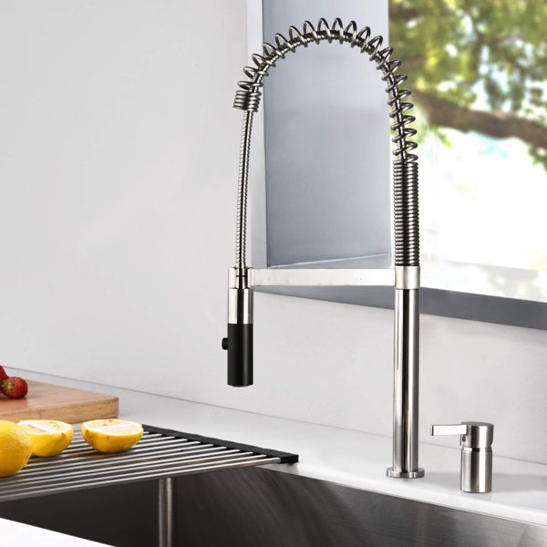 Aula Pull Down Kitchen Faucet - Wayfair Canada