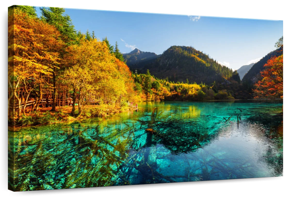 Foundry Select Stunning Five Flower Lake | Wayfair