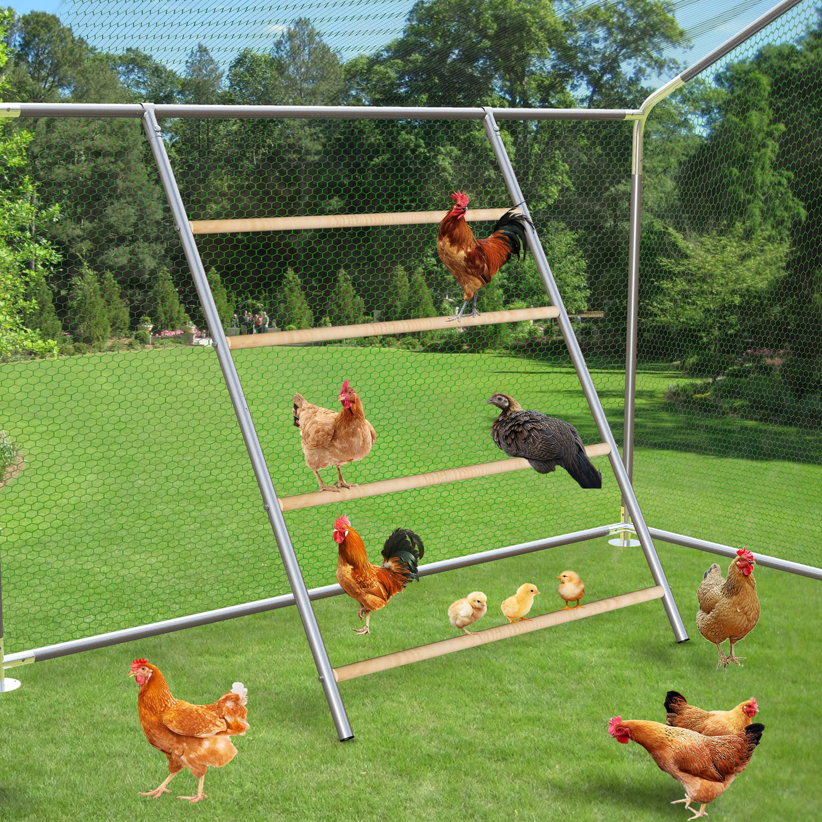 Tucker Murphy Pet™ Chicken Perch, Chicken Coop Strong Roosting Bars For ...