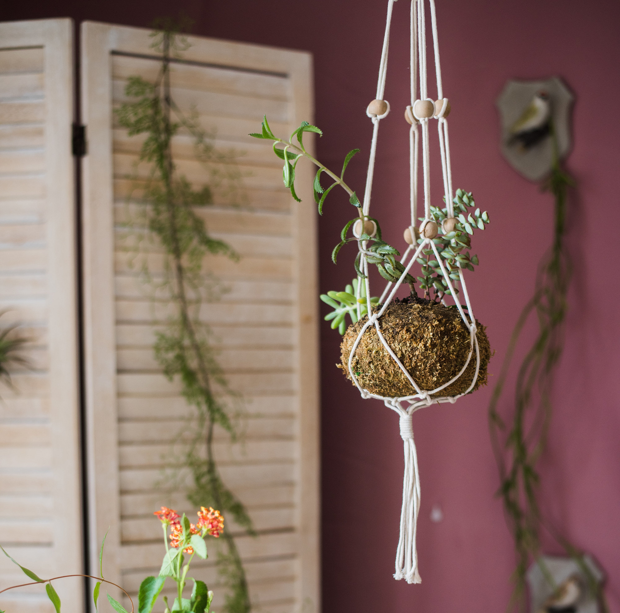 Dakota Fields Cotton Hemp Rope Hanger | Wayfair