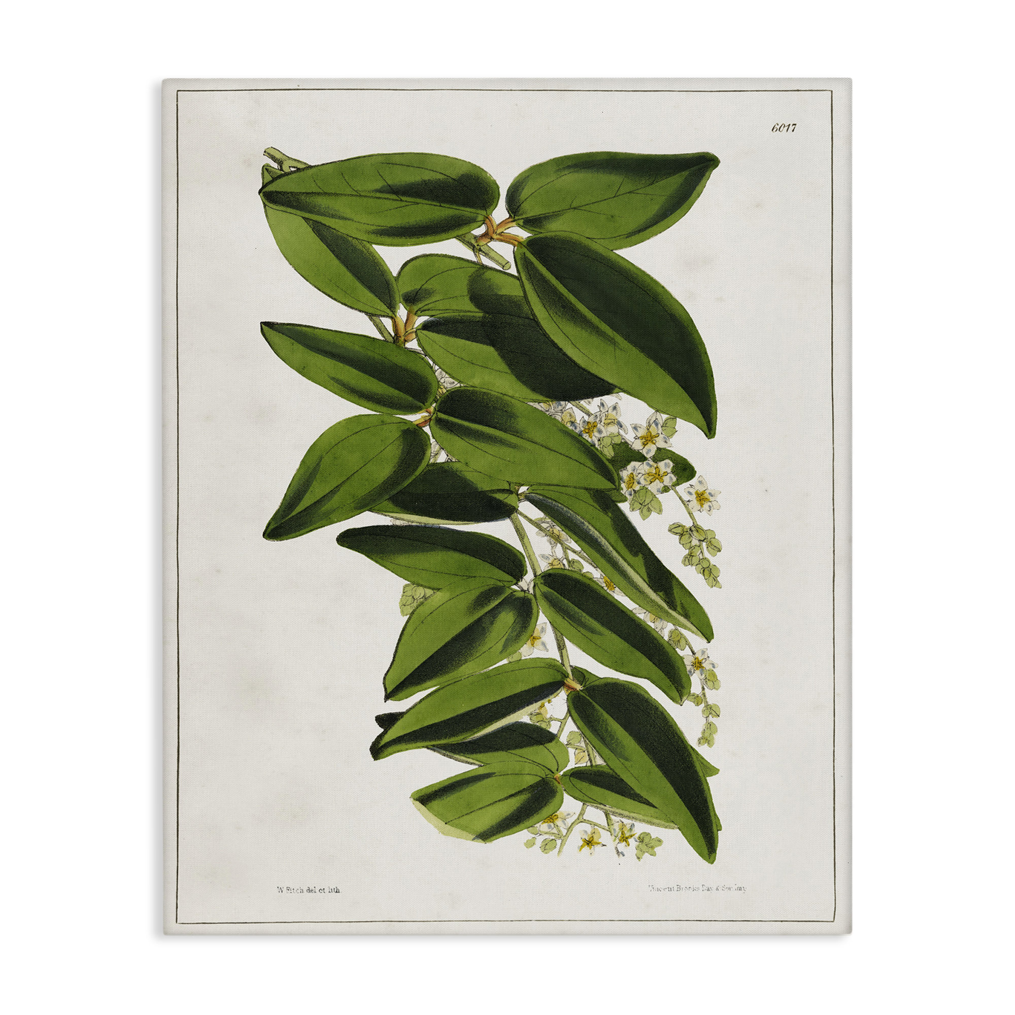 Red Barrel Studio® Stacked Leaves Botanical Canvas Wall Art by Tina ...