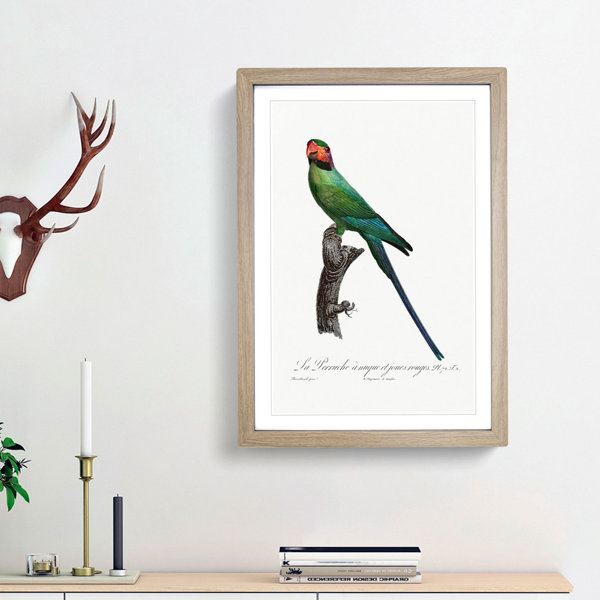 East Urban Home Blossom-Headed Parakeet by F. Levaillant - Picture ...