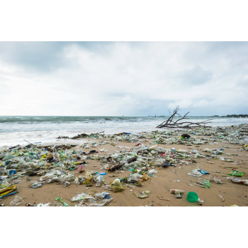 Highland Dunes Garbage on Beach by Koldunov - Wrapped Canvas Photograph ...