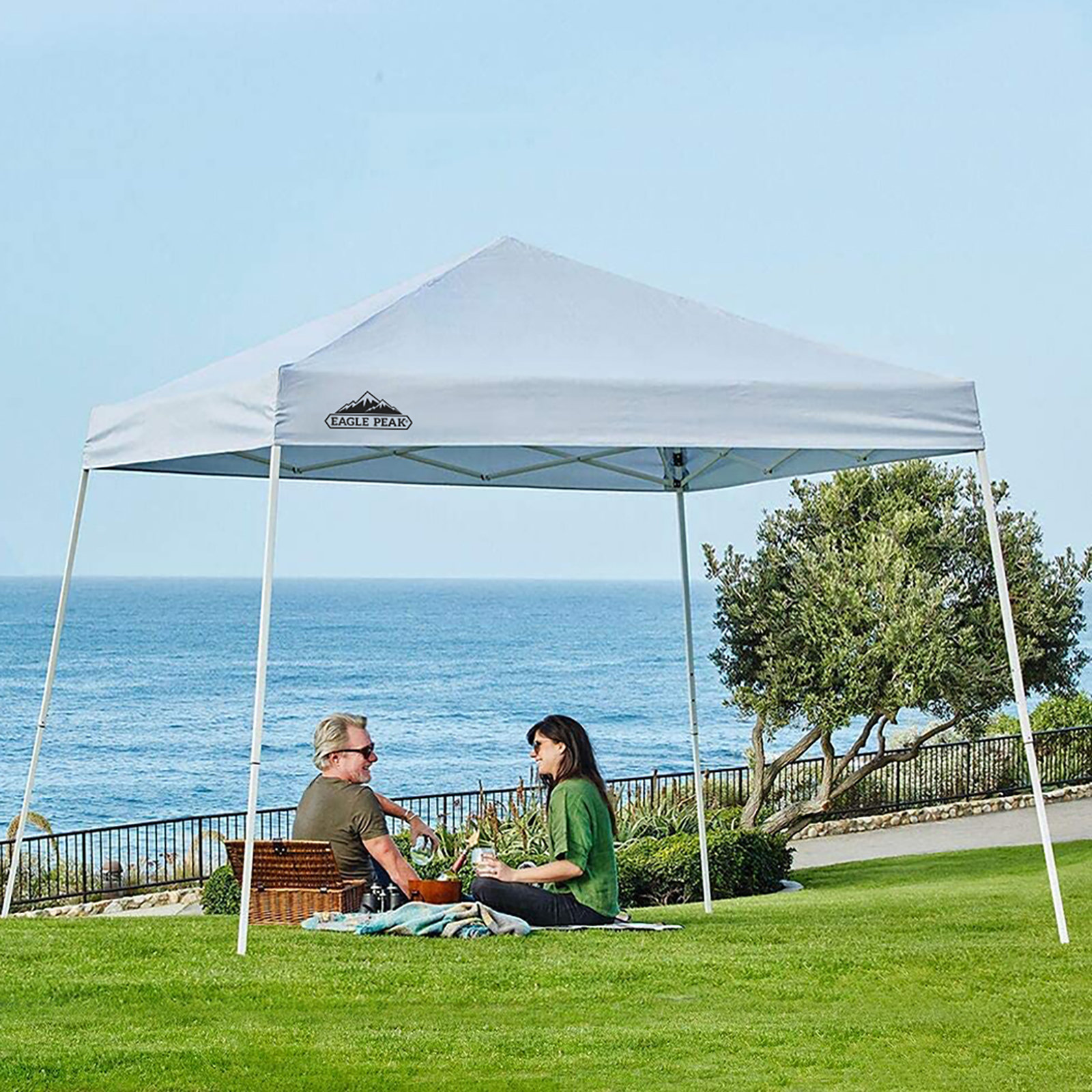 EAGLE PEAK Pop Up Canopies 10 Ft. W x 10 Ft. D Slant Leg Steel Party ...