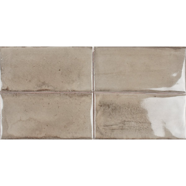 Roca Tiles TEGEL TERRA BG 3X6 | Wayfair