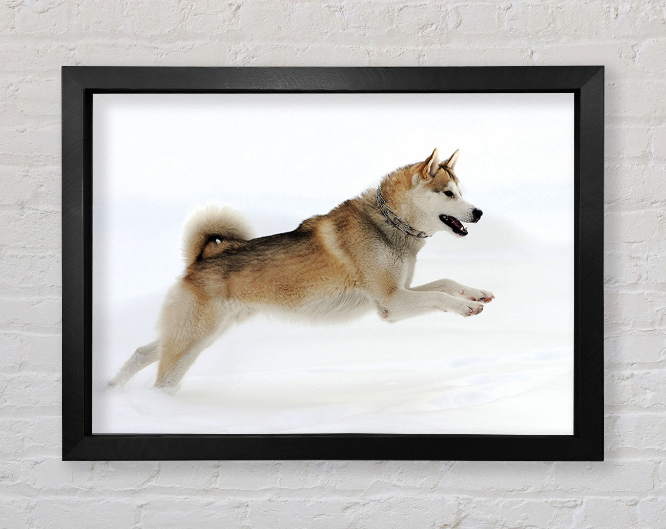 Bright Star Husky Dog Snow Play - Print | Wayfair.co.uk
