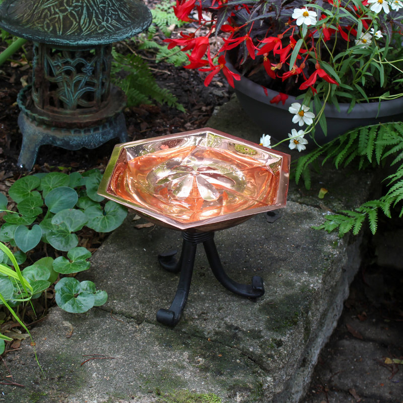 Charlton Home® Bee Fountain and Birdbath with Tripod Stand | Wayfair
