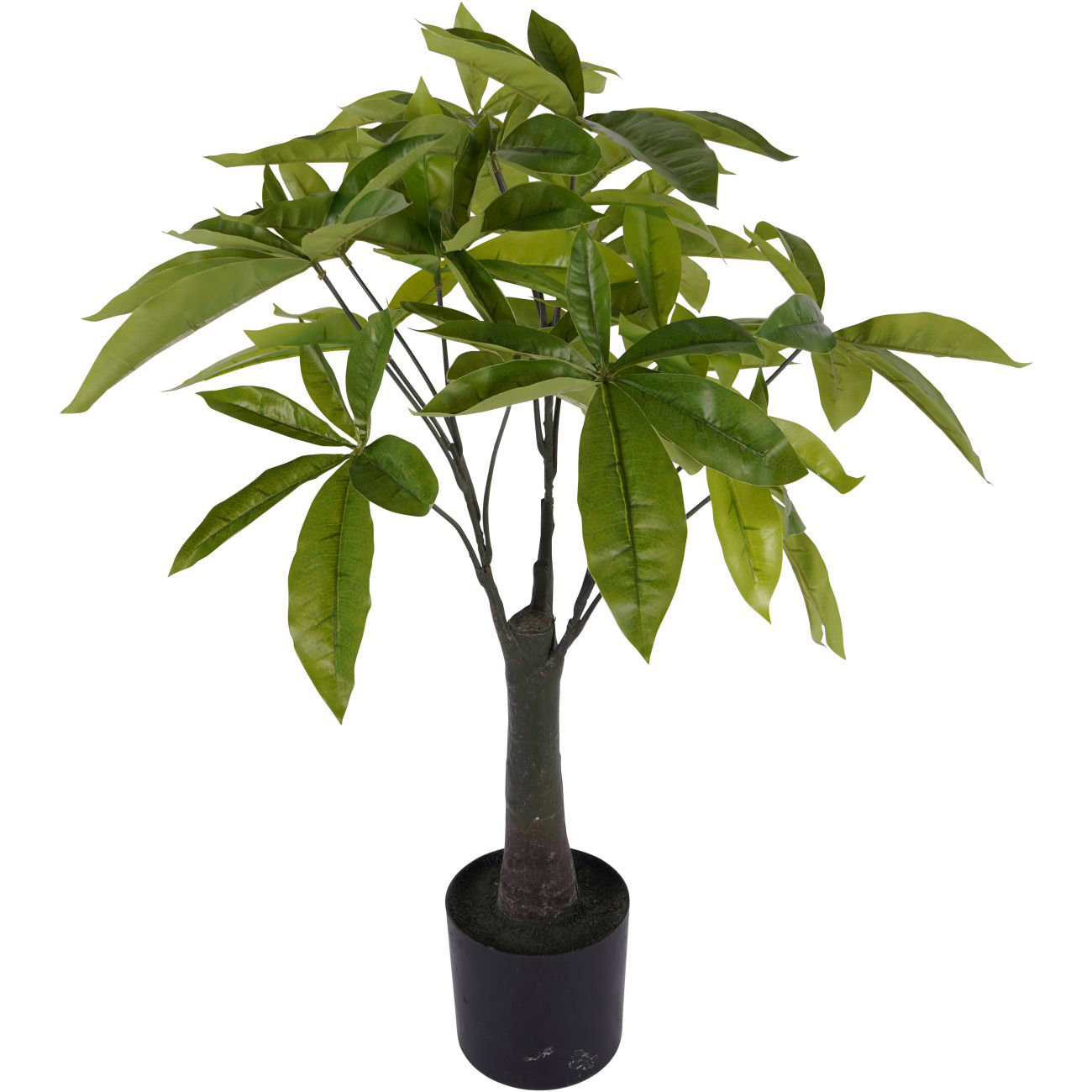 The Seasonal Aisle Anojan 65cm Plant | Wayfair.co.uk