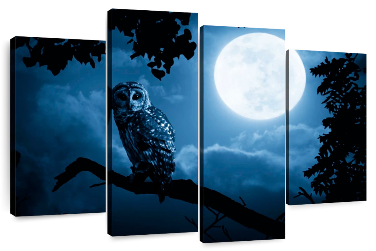 Ebern Designs Brampt Watchful Night Owl | Wayfair