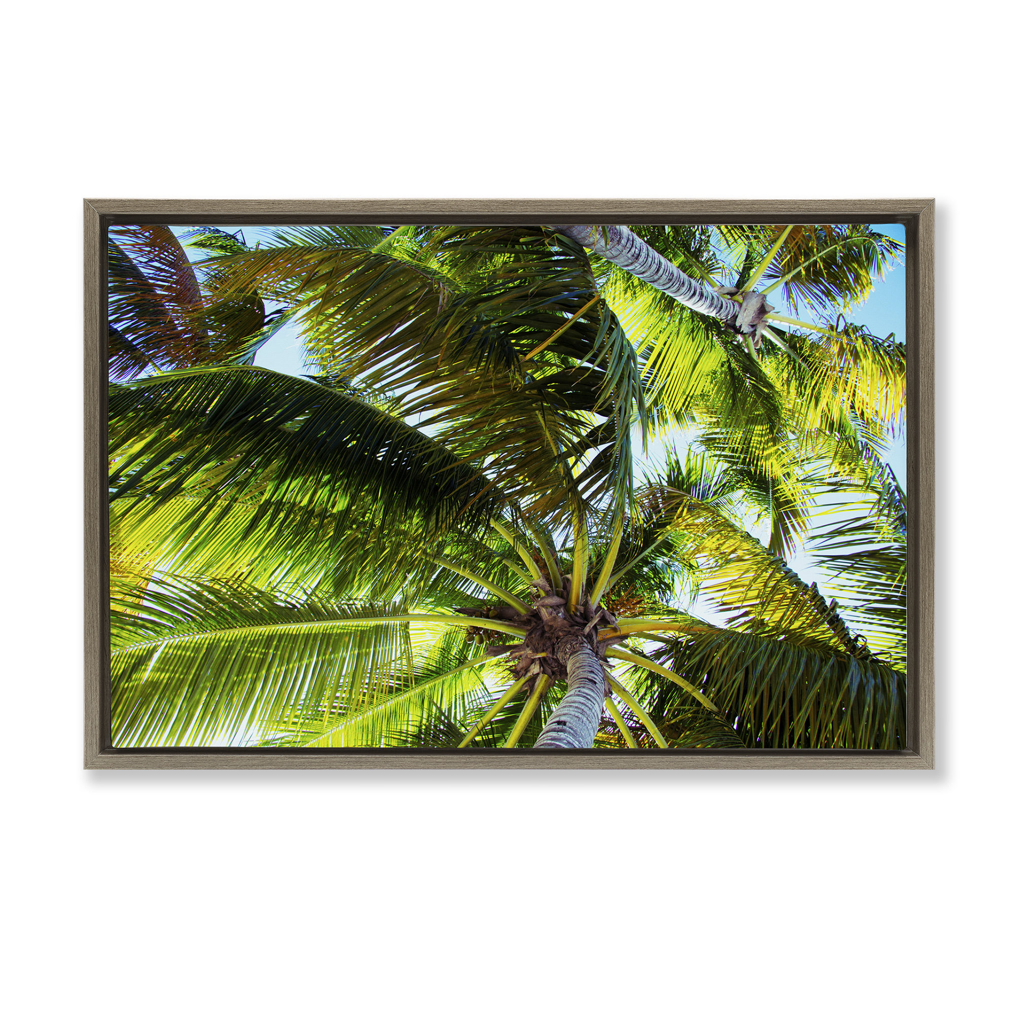 Bay Isle Home™ Swaying Palm Leaves Framed Floater Canvas by Emily Navas ...