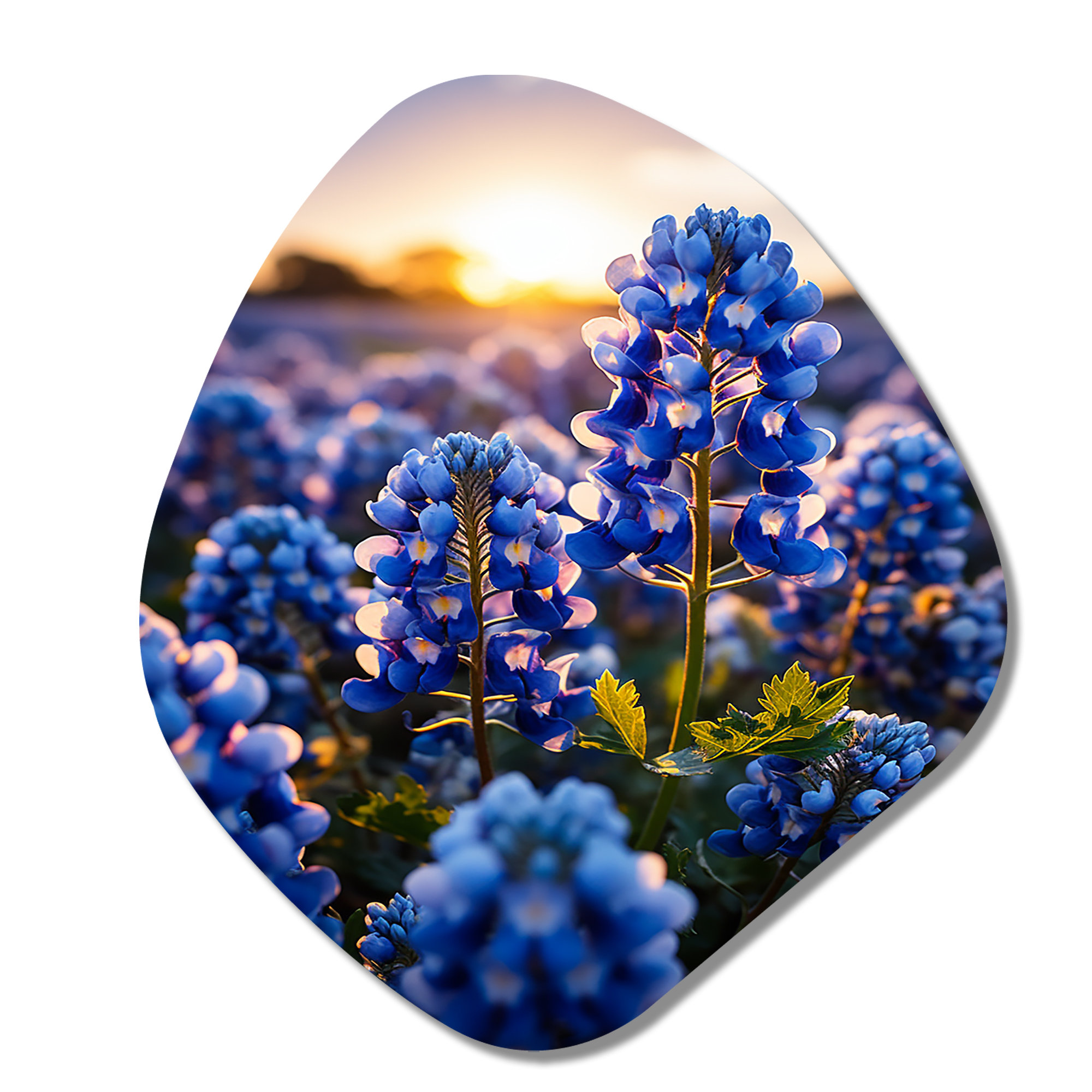 Lark Manor™ Bluebonnets Flower Blissful II - Blue Bonnets Nebula Shape ...