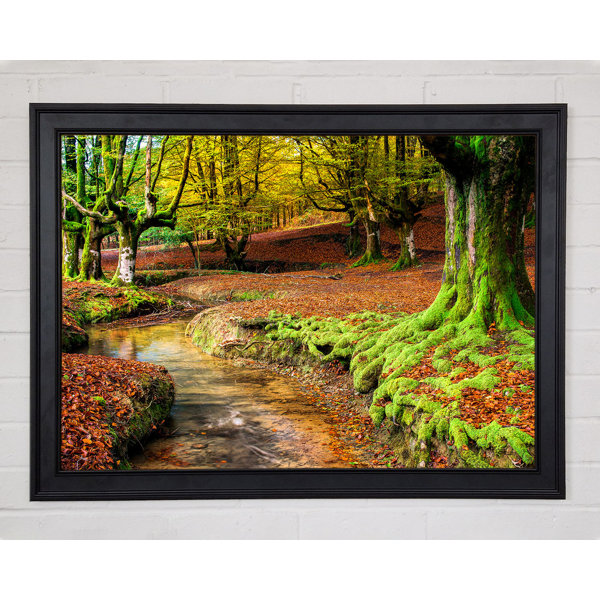 Union Rustic Gentle Shallow Stream Woodland Framed Print | Wayfair.co.uk