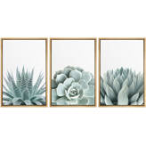 IDEA4WALL Wall Art Print Set Green Succulent And Cactus Variety ...