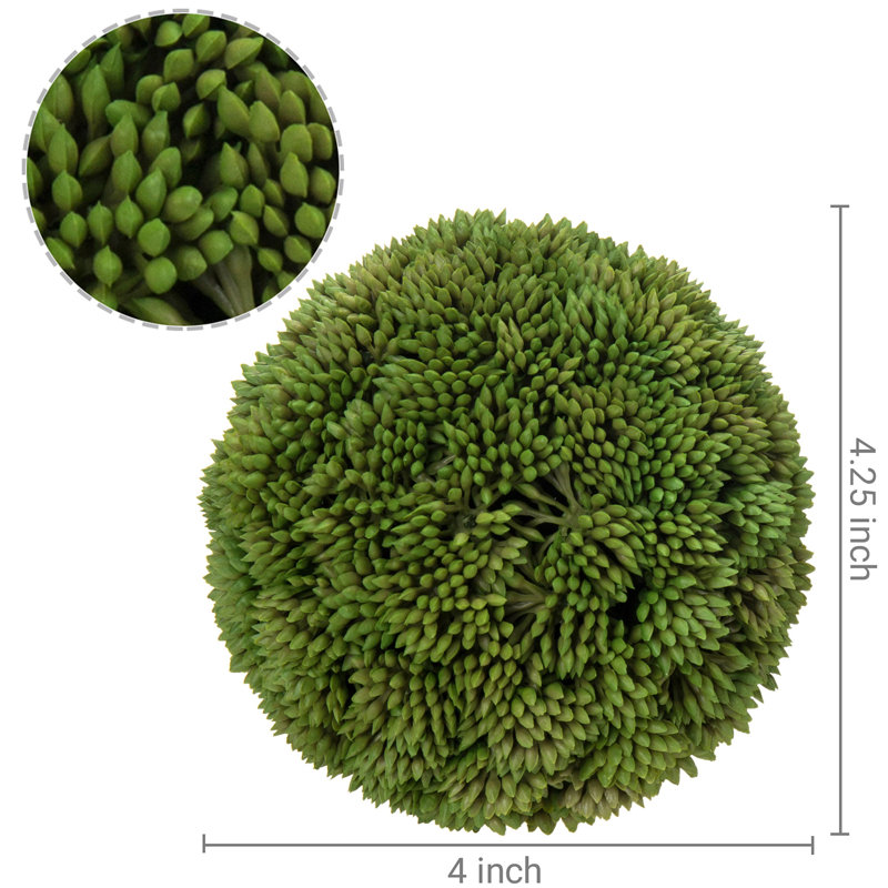 Primrue Richason Home Décor Decorative Ball Objects Vase Filler ...