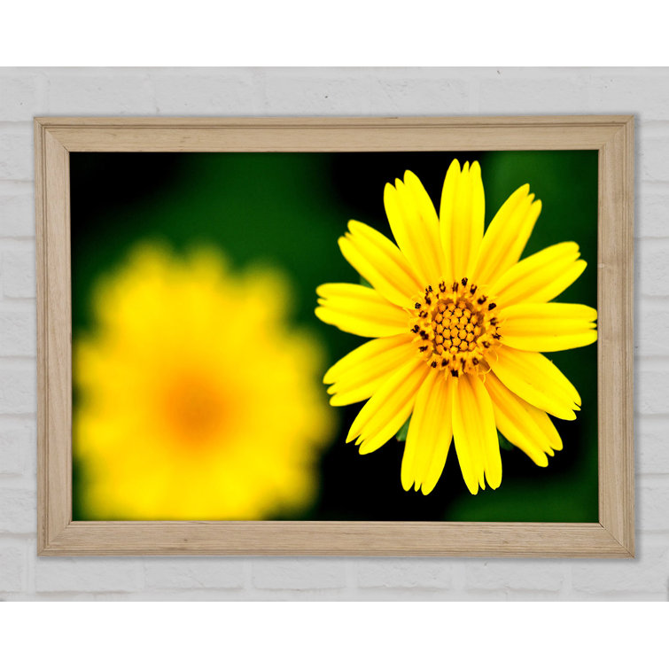 Brayden Studio Beautiful Yellow Flower - Single Picture Frame Art ...