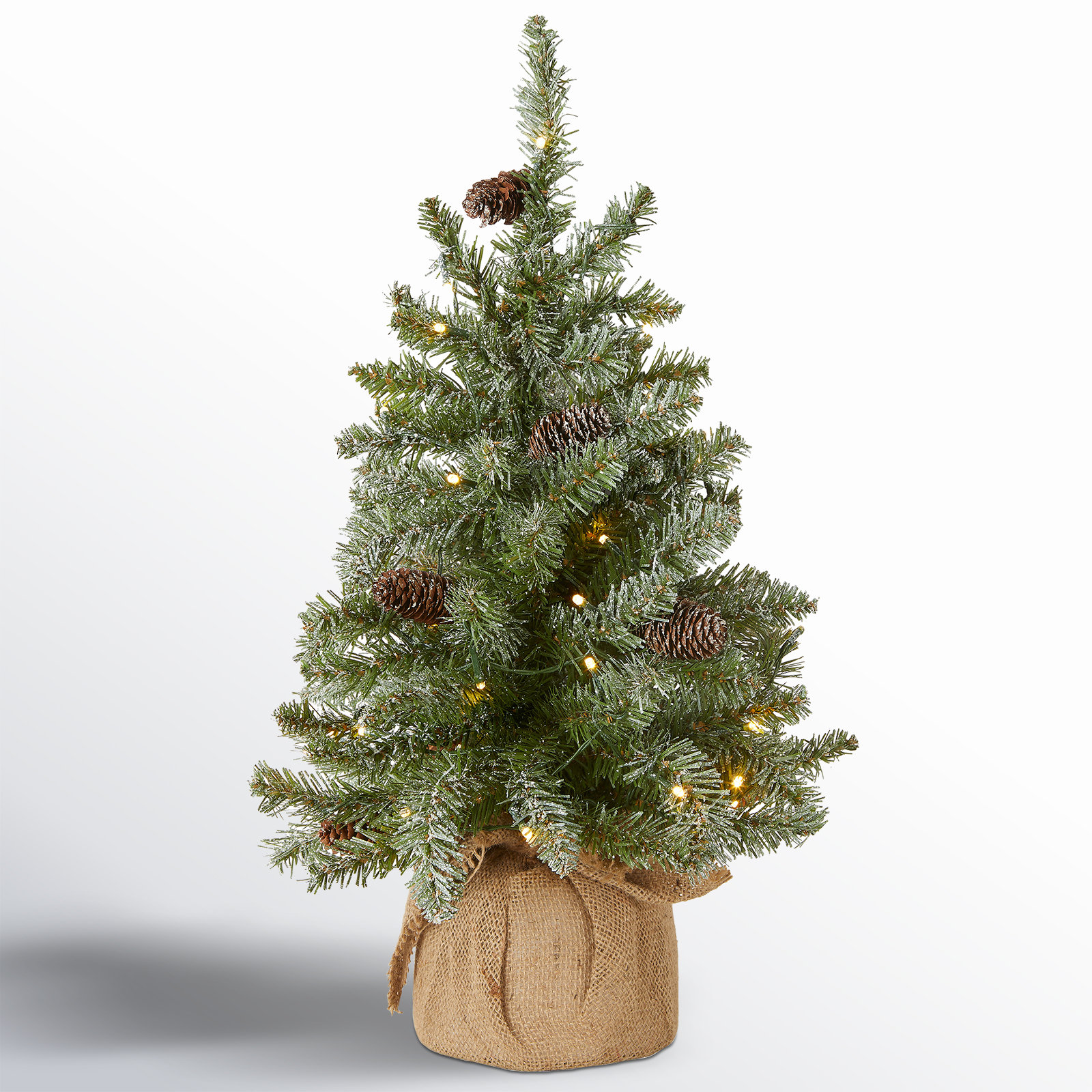 National Tree Company Snowy Concolor Fir Tree with LED Lights & Reviews ...