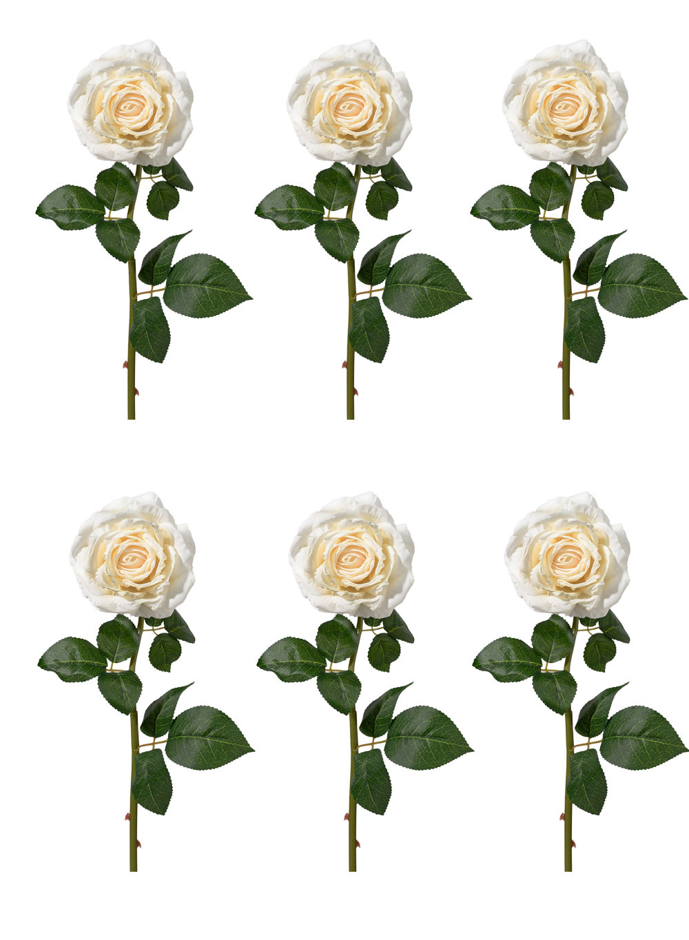 Primrue 12 Pcs Single Artificial Flowers Cream Silk Flowers,13 Inch ...