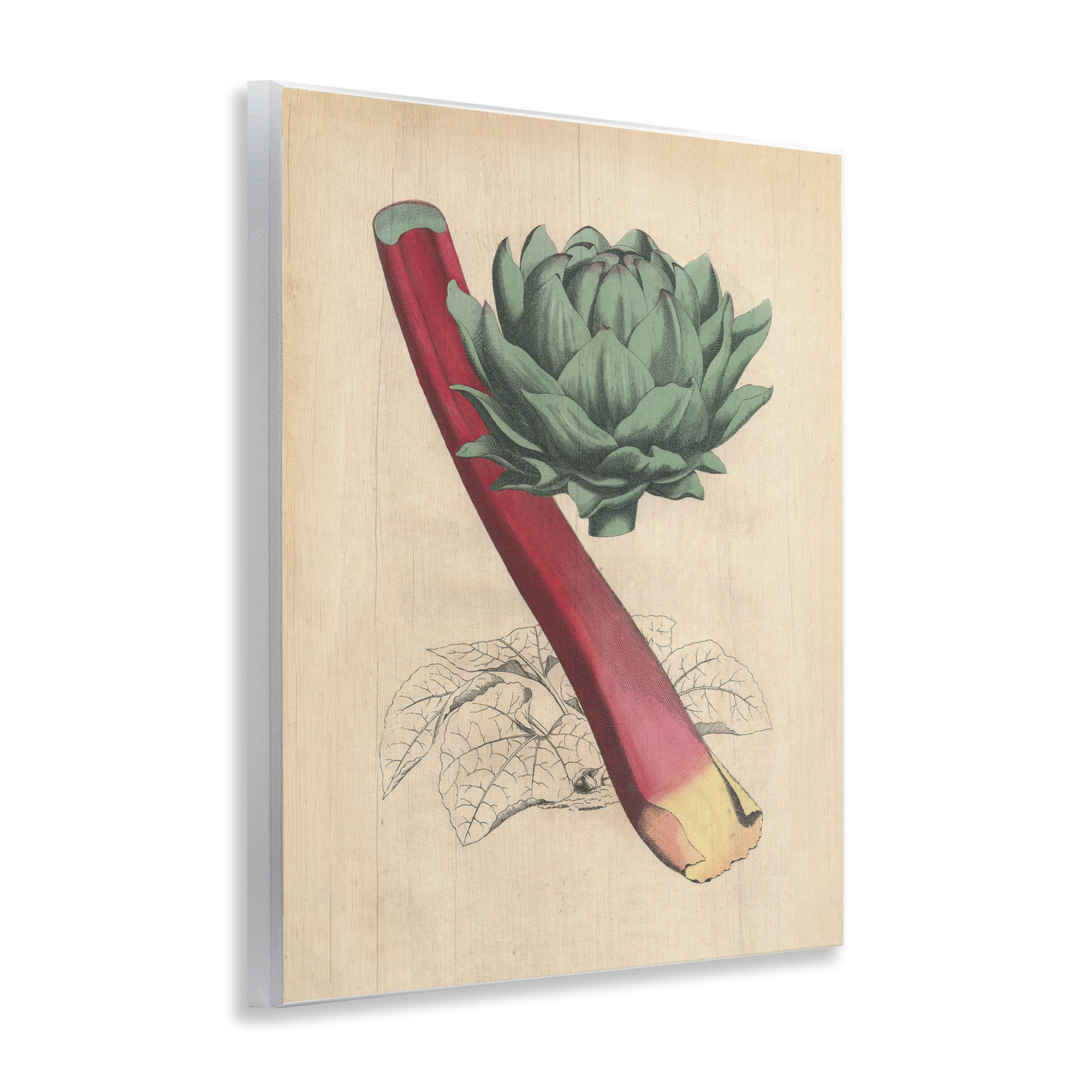 Lark Manor™ Vintage Vegetable Studies Wall Plaque Art by Daphne ...